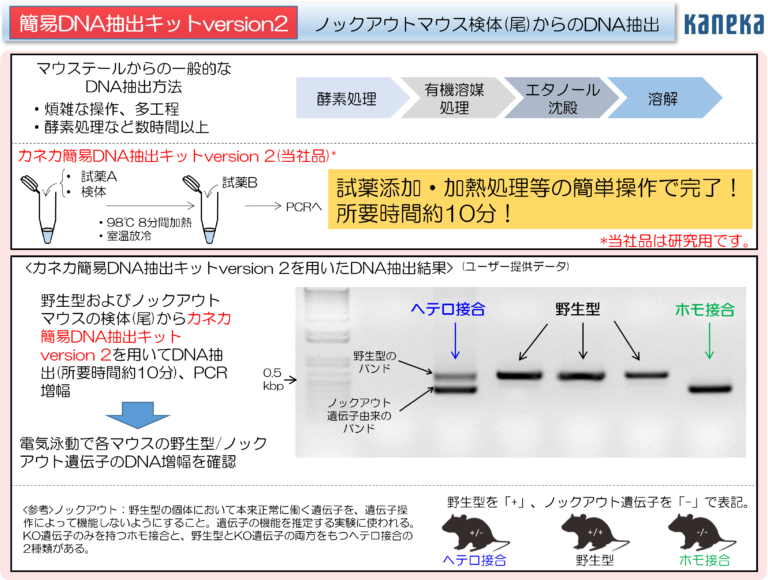 PCR用テンプレートDNAを簡単・すばやく抽出！特選キット情報 ｜ Labo Fun ! | ラボ・ファン！ーバイオ・ライフサイエンス実験のお ...